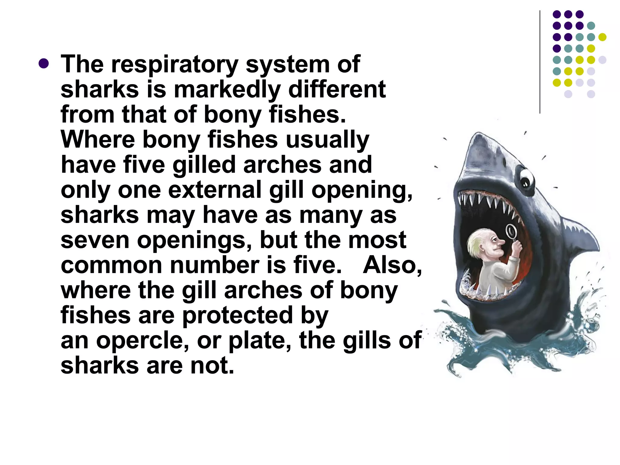Respiratory System | PPT