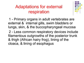 Respiratory System | PPT