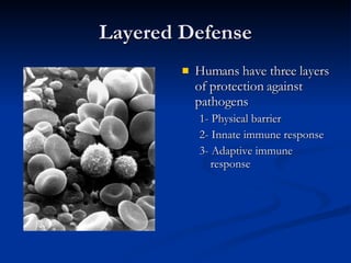 Respiratory System and Immune System | PPT