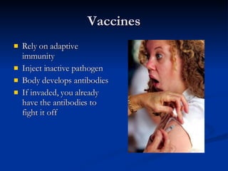 Respiratory System and Immune System | PPT