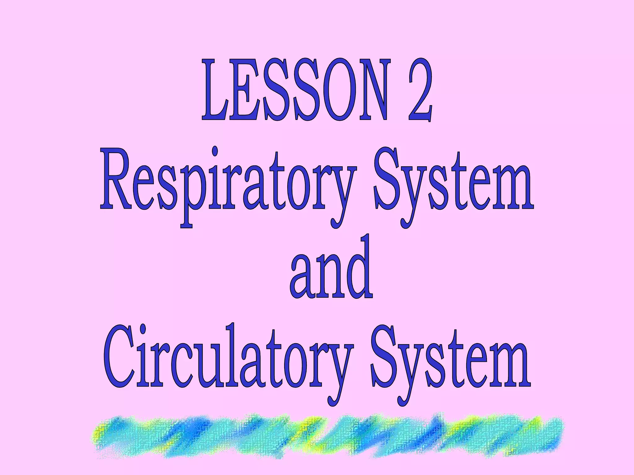 Respiratory System | PPT