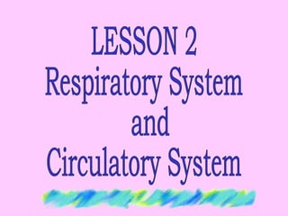 Respiratory System | PPT