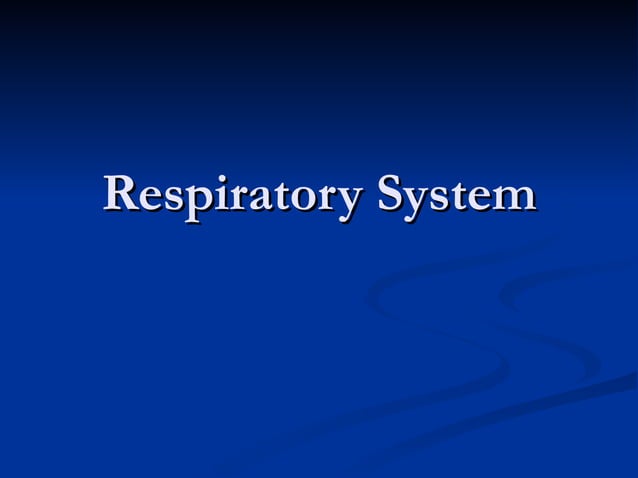Respiratory System Ppt 5562
