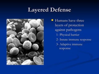 Respiratory System | PPT