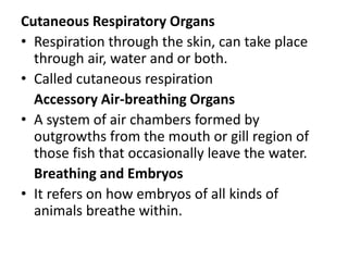 Respiratory system | PPTX