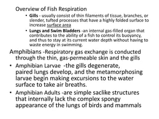 Respiratory system | PPTX