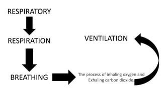 Respiratory system | PPTX