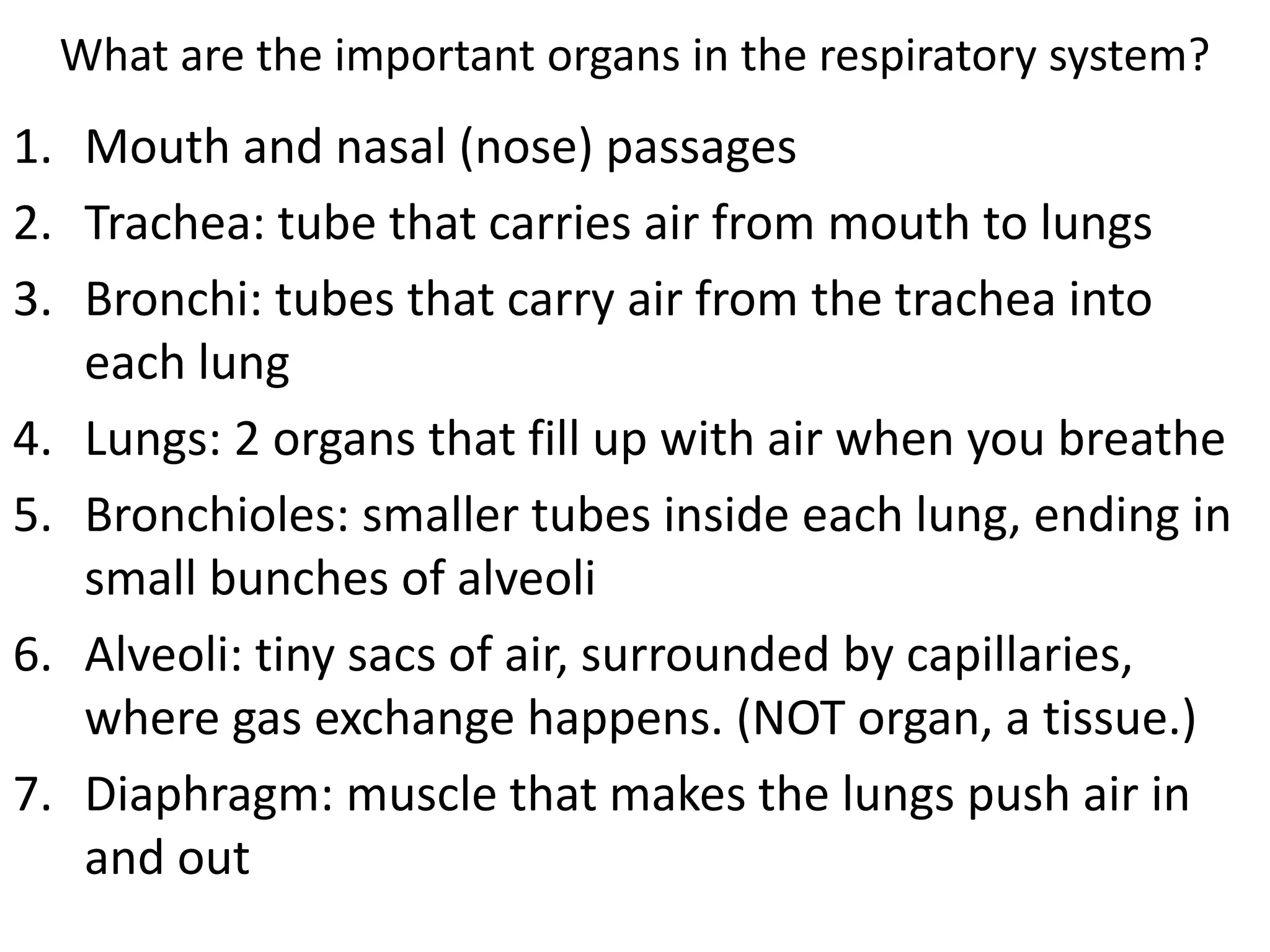 Respiratory system | PPTX