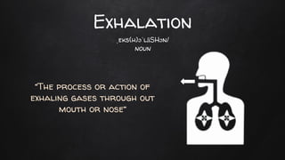 Respiratory System And Gas Exchange | PDF | Lung and Respiratory Health ...