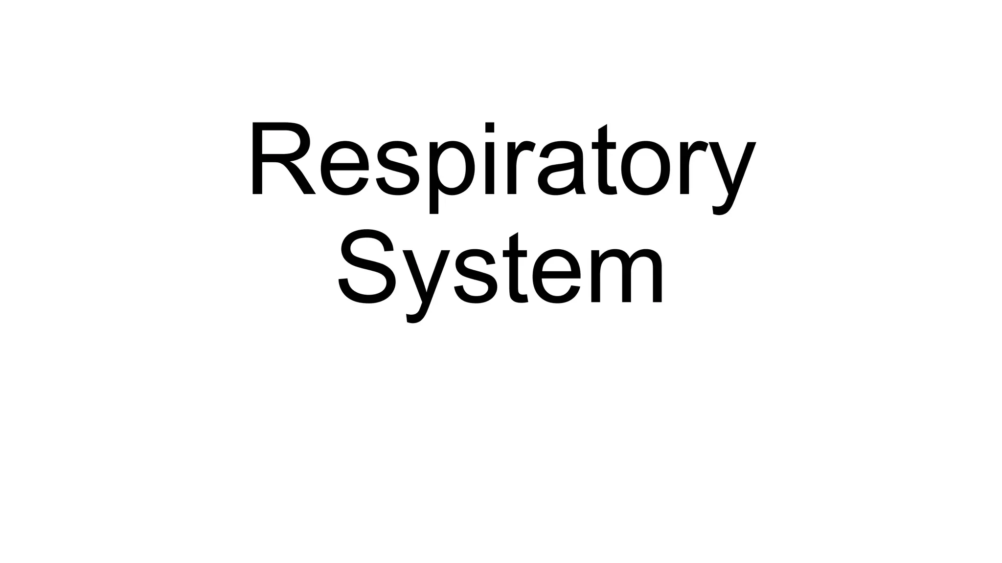 Respiratory-System.pptx