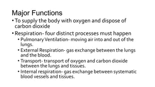 Respiratory-System.pptx