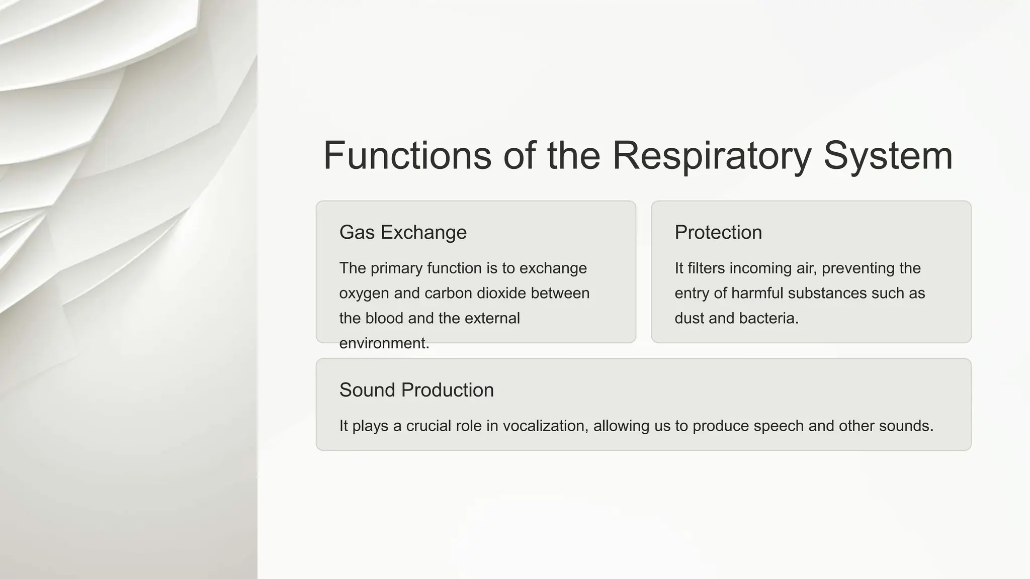 Respiratory physiology physiotherapy-System.pptx