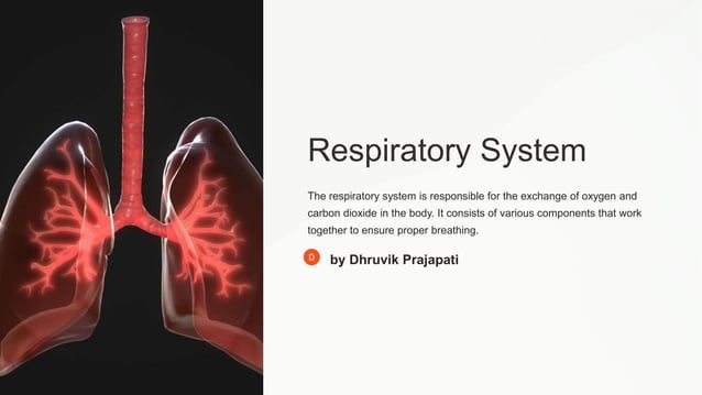 Respiratory physiology physiotherapy-System.pptx