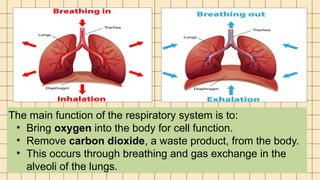 RESPIRATORY-SYSTEM AND ITS PARTS ANATOMY.pptx