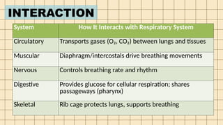 RESPIRATORY-SYSTEM AND ITS PARTS ANATOMY.pptx
