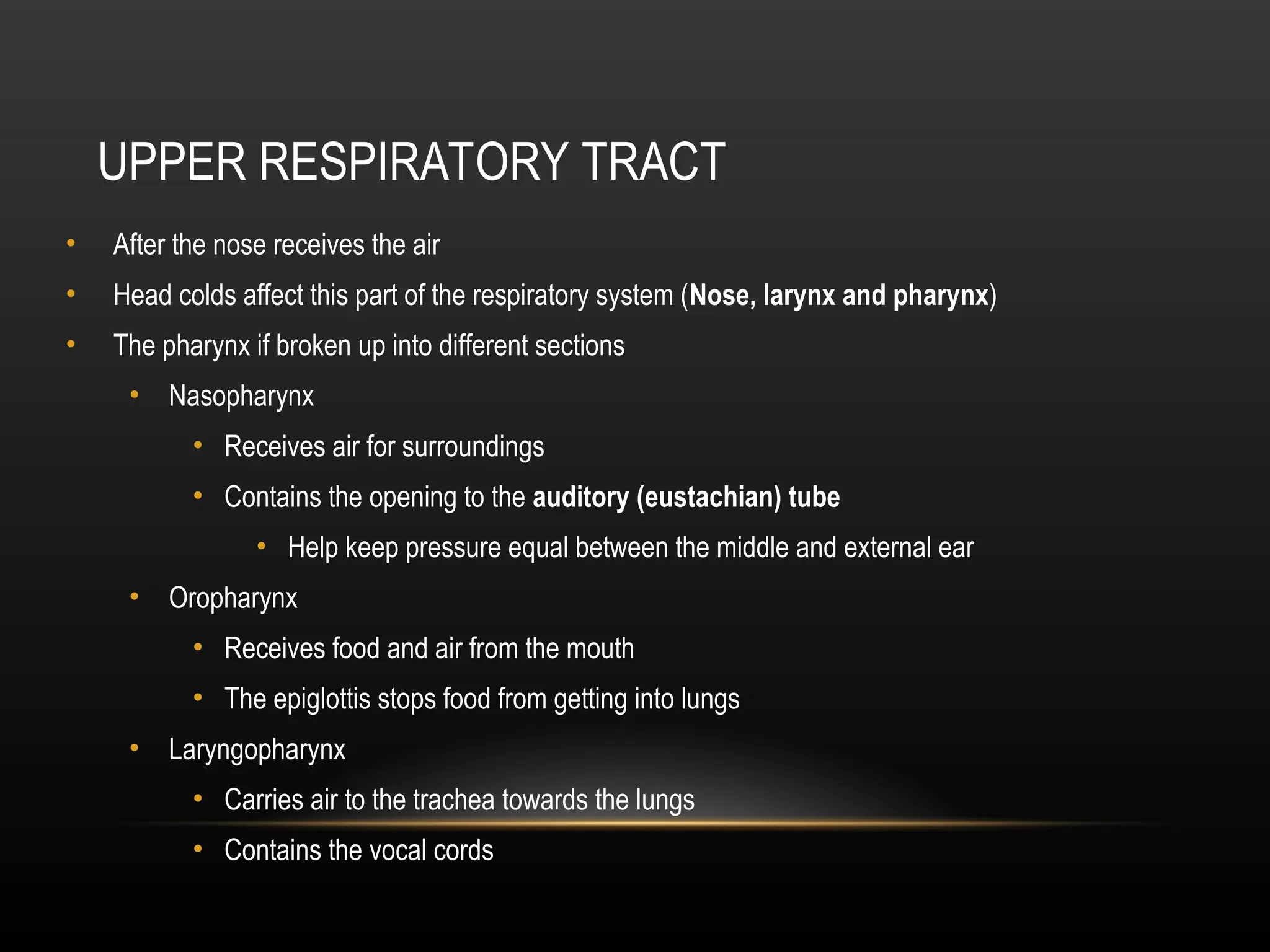 RESPIRATORY-SYSTEM anatomy and physiology.ppt
