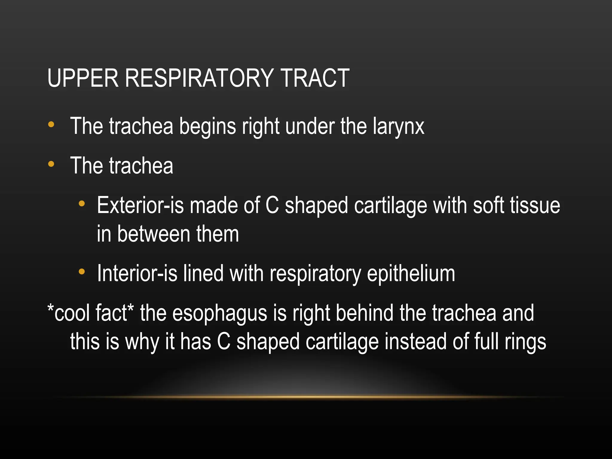 RESPIRATORY-SYSTEM anatomy and physiology.ppt