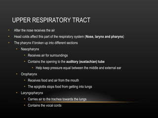 RESPIRATORY-SYSTEM anatomy and physiology.ppt