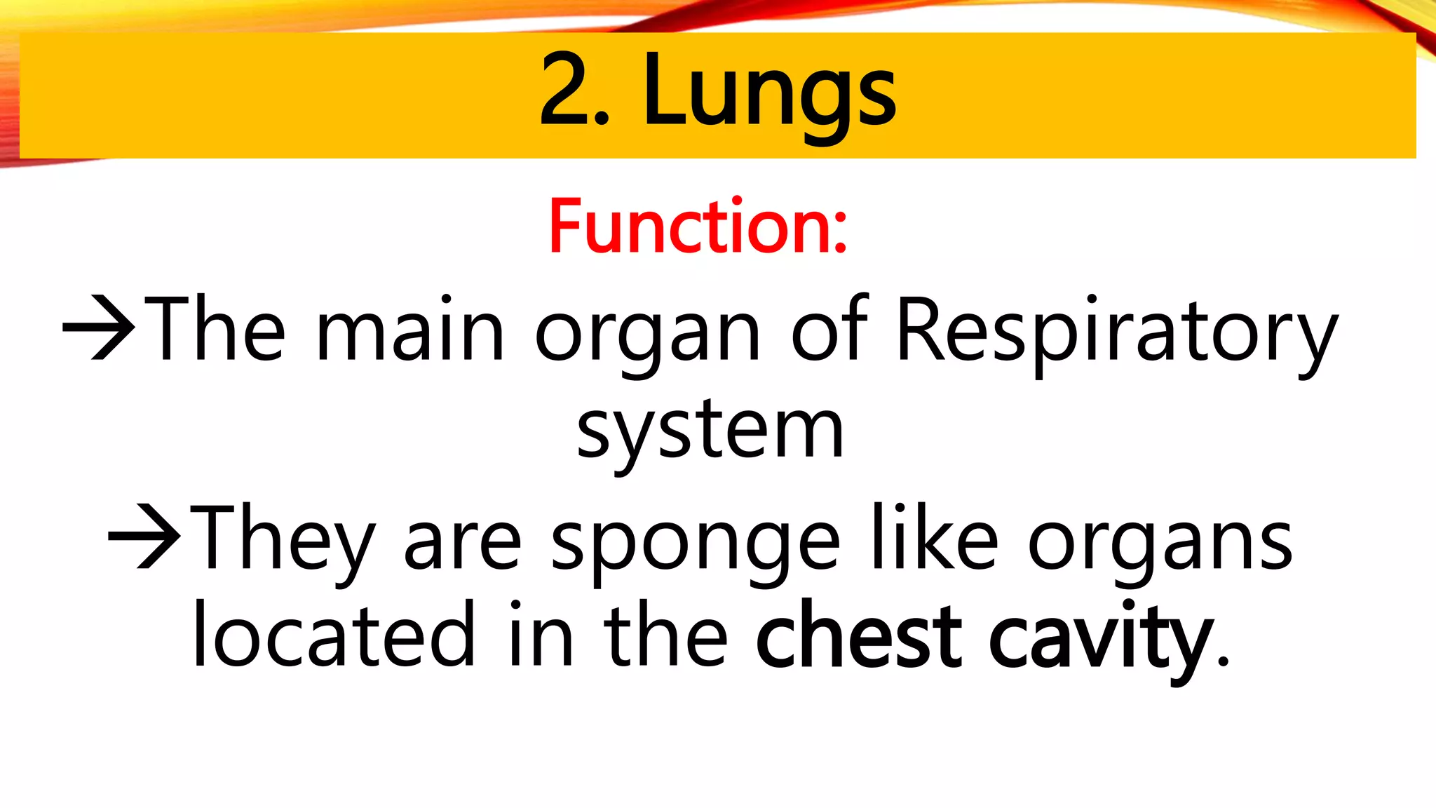 RESPIRATORY-SYSTEM-B.pptx