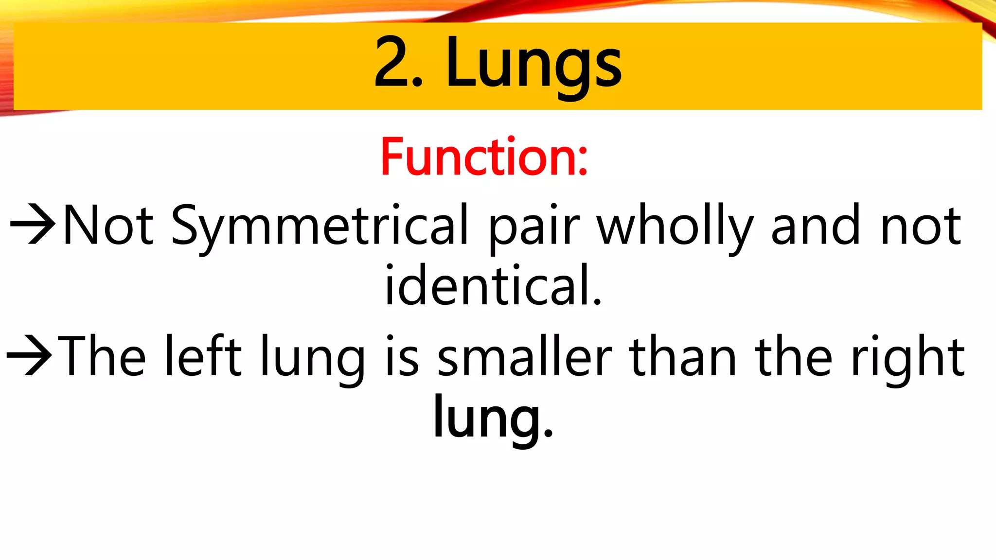 RESPIRATORY-SYSTEM-B.pptx