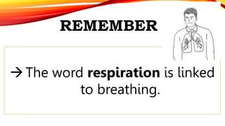 RESPIRATORY-SYSTEM-B.pptx