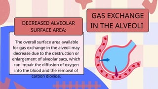 Respiratory-System-Biology-Presentation-in-a-Blue-Pink-Bold-Style.pptx