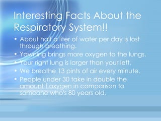 Respiratory System Powerpoint | PPT
