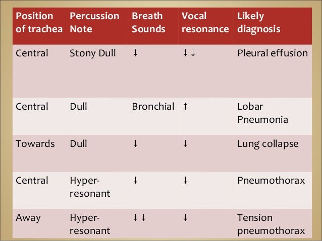 Resonance lung sounds - holfsos