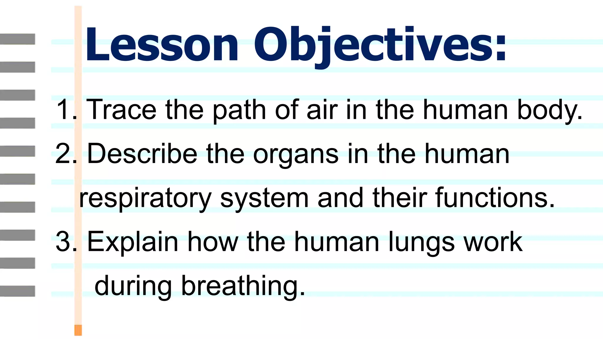 RESPIRATORY-SYSTEM_THE-MECHANISM-OF-BREATHING.pdf