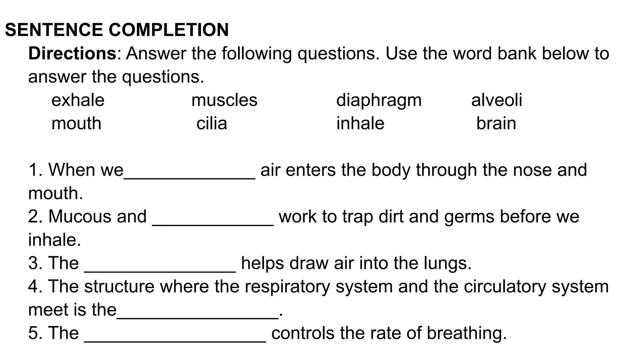 RESPIRATORY-SYSTEM_THE-MECHANISM-OF-BREATHING.pdf | Lung and ...