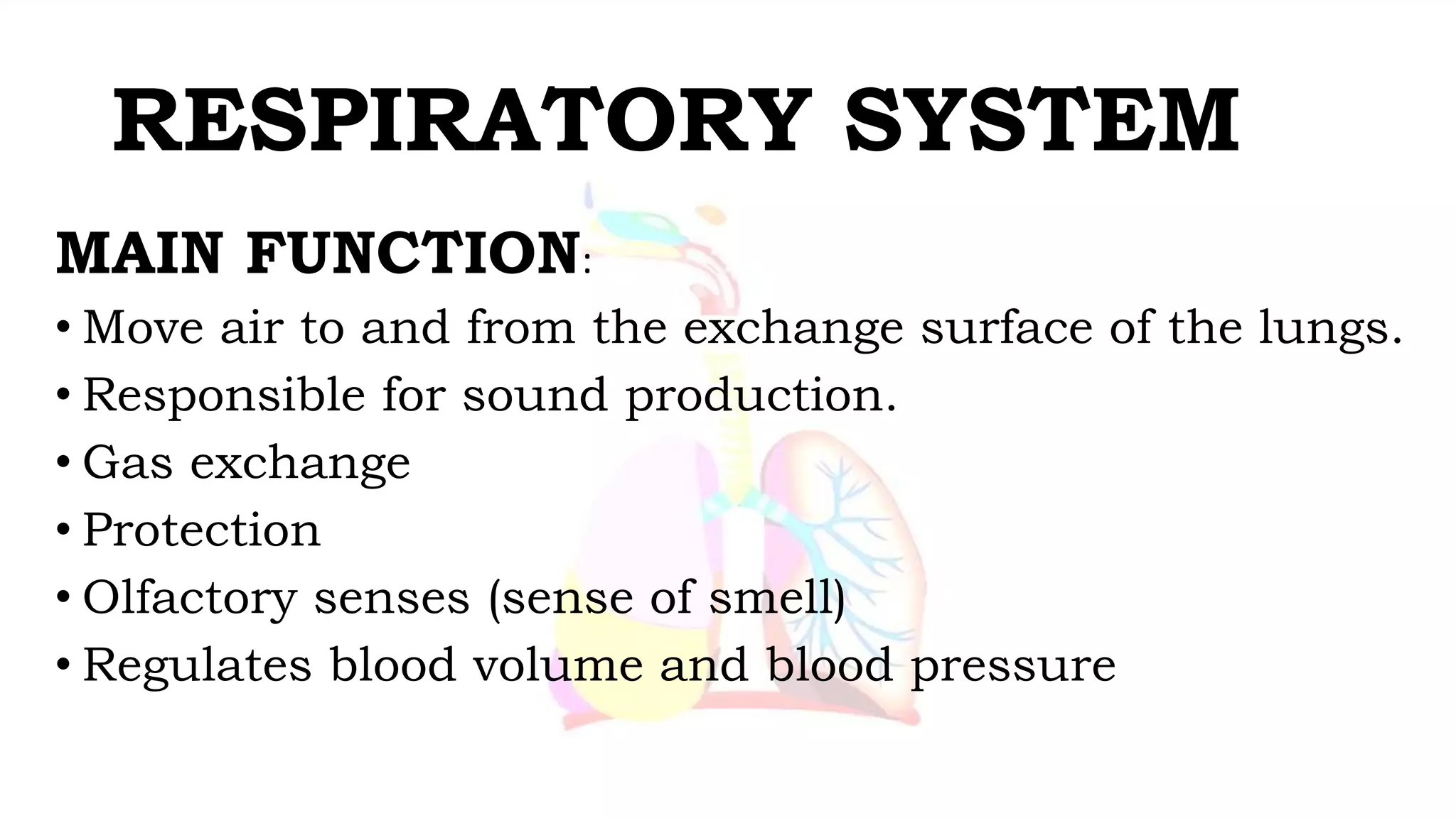 RESPIRATORY-SYSTEM_THE-MECHANISM-OF-BREATHING.pdf