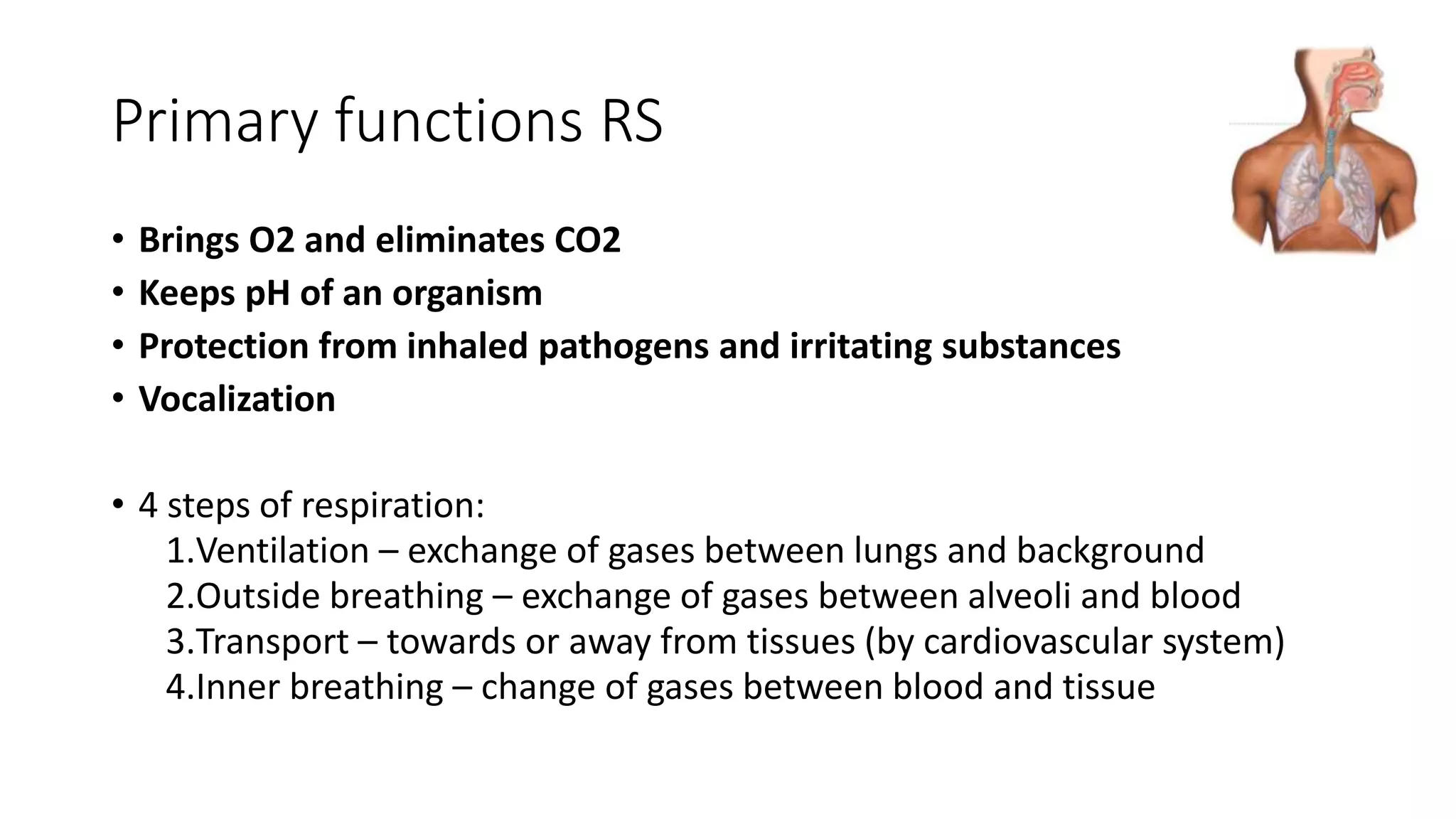 respiratory-system_ztem_2020-1.pdf