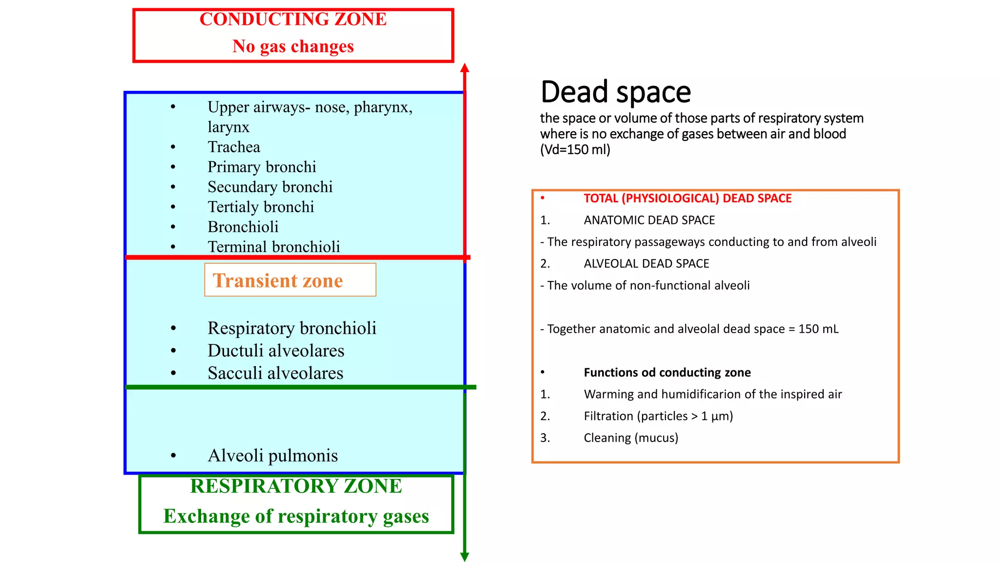 respiratory-system_ztem_2020-1.pdf