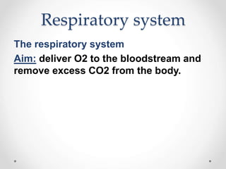 Assessment of respiratory system 1 | PPT