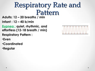 respiratory system basic and diseasessss | PPT