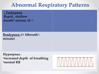 respiratory system basic and diseasessss | PPT
