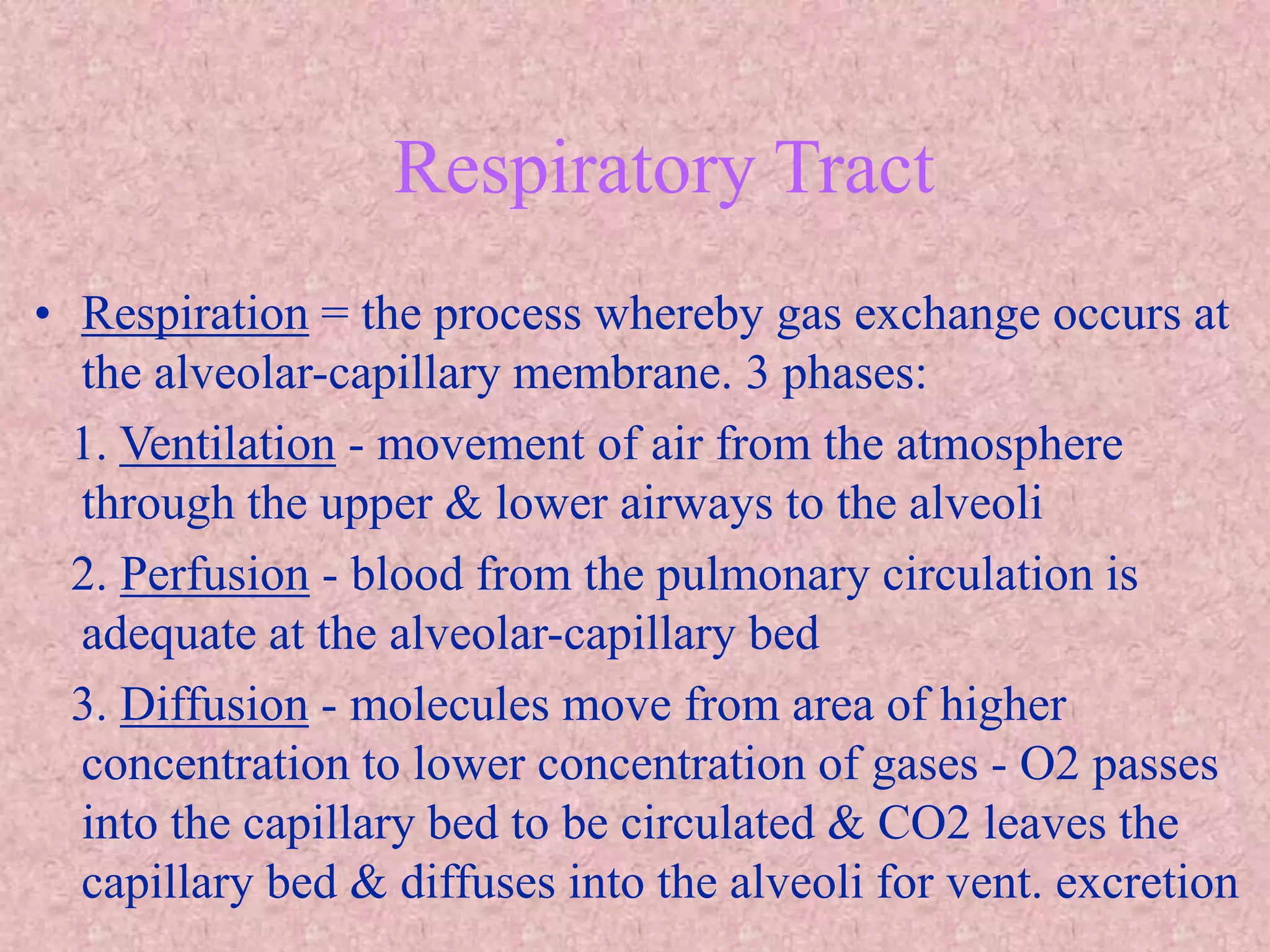 Respiratory diseases and their preventions | PPTX