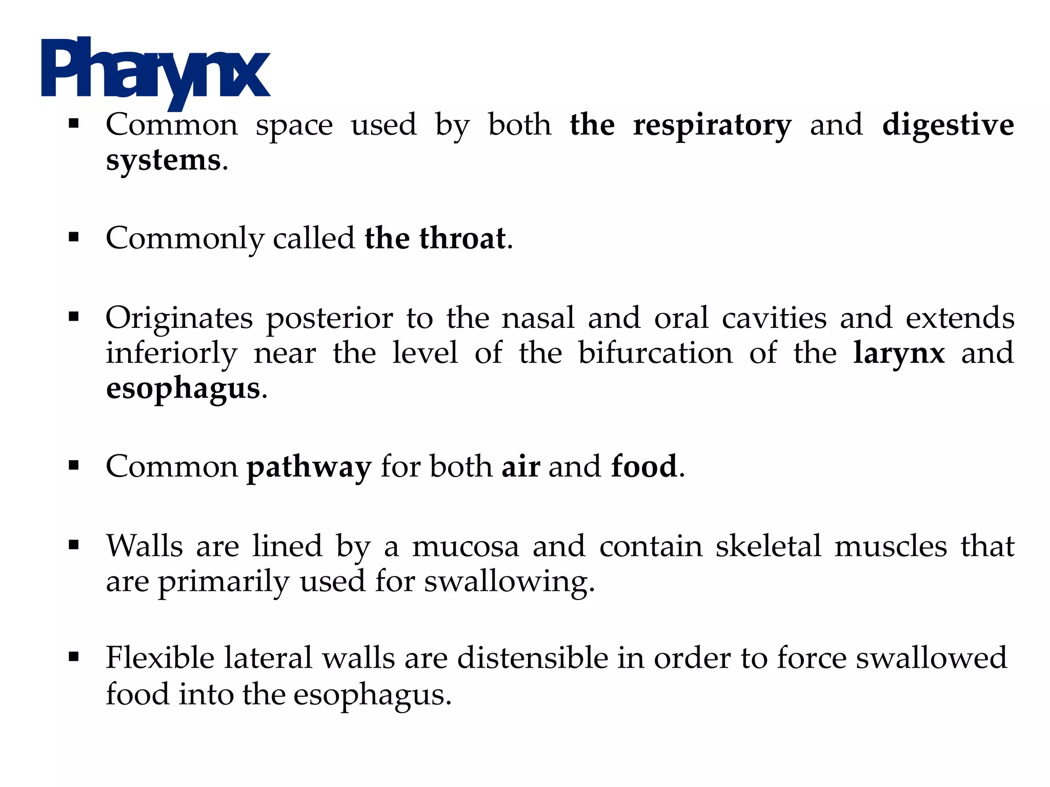 respiratory%20system.pptx