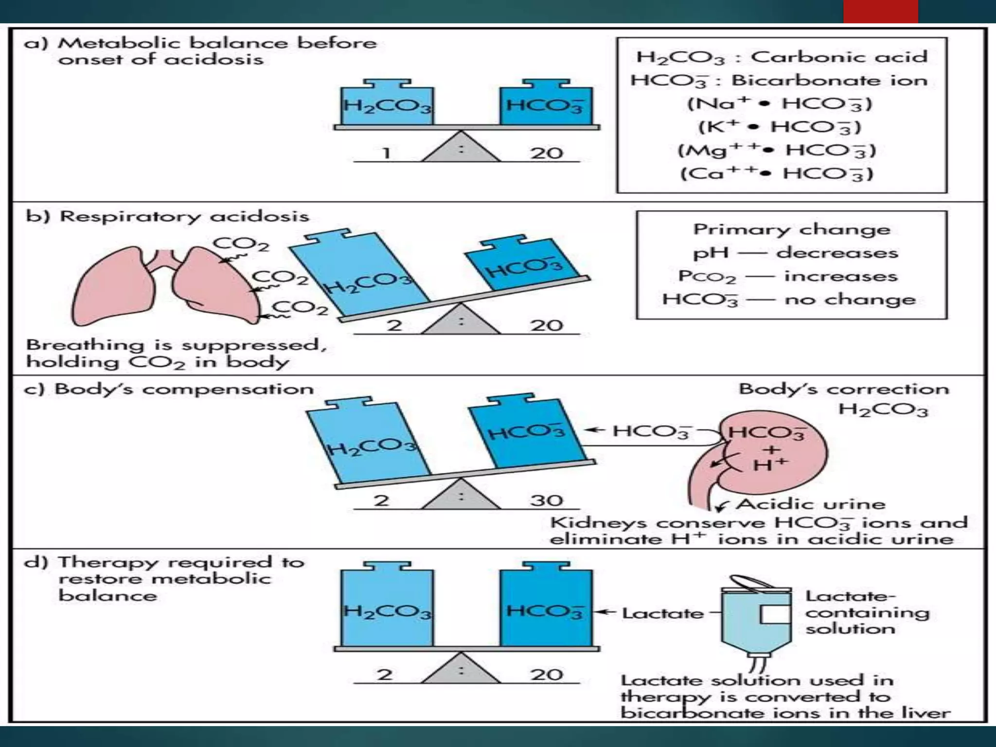 Respiratory acidosis and alkalosis | PPTX