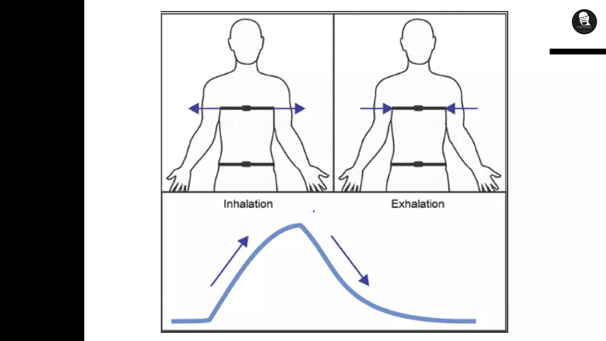 Respiratory activity sensor | PDF