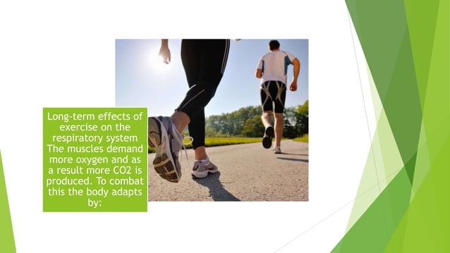 Respiratory adaptation to exercise | PPTX