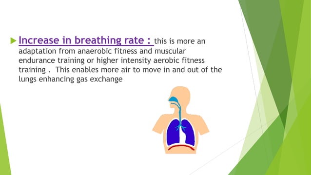 Respiratory adaptation to exercise | PPTX