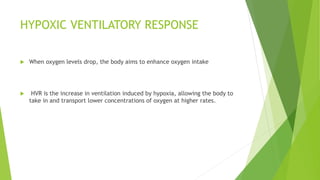 RESPIRATORY ADAPTATIONS TO HYPOXIA IN HUMNAS.pptx