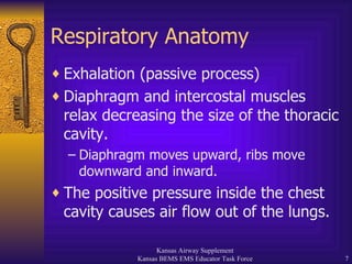Respiratory Anatomy | PPT