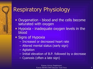 Respiratory Anatomy | PPT