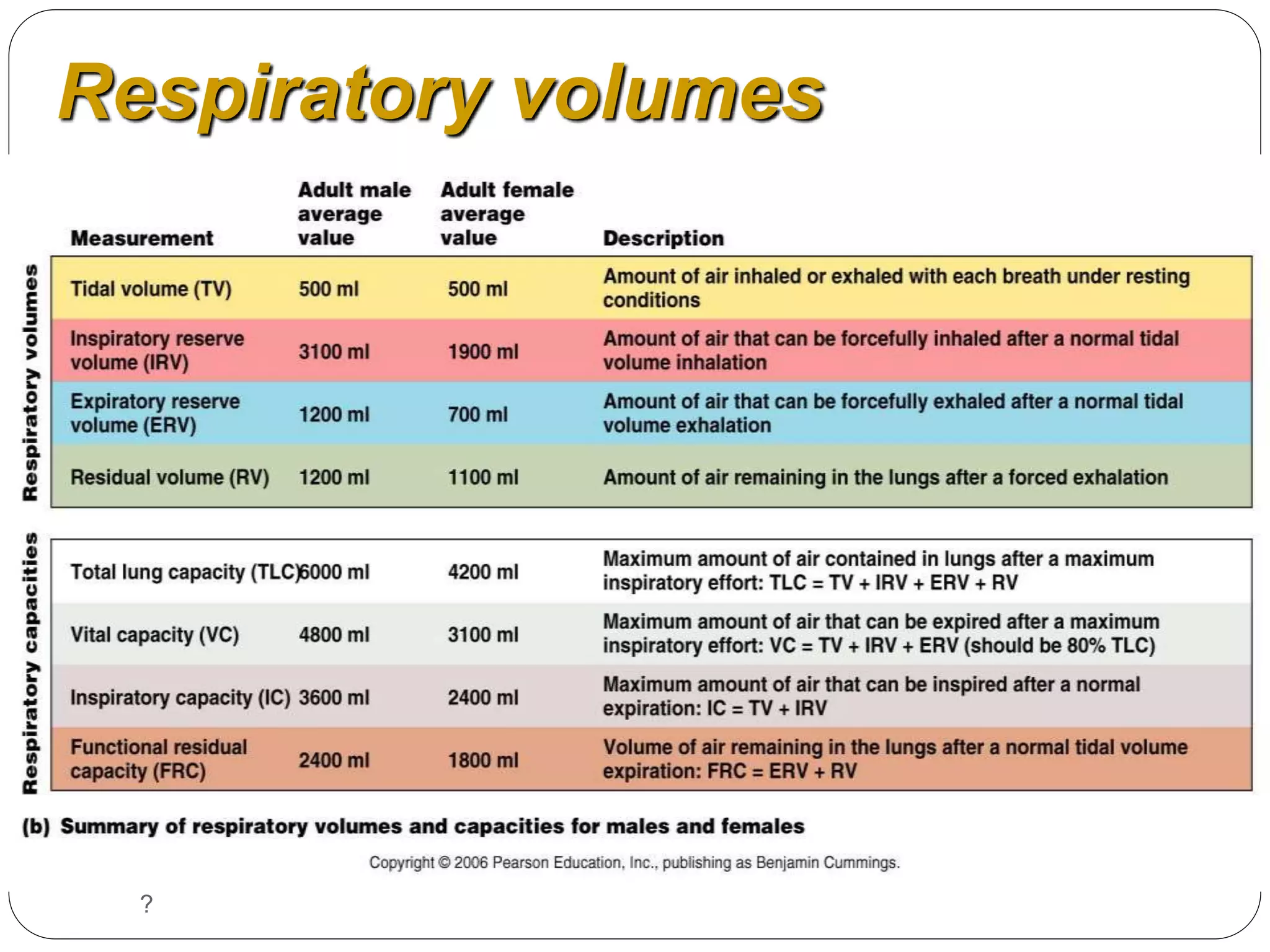 Respiratory Assessment & Diagnostic Findings | PPTX