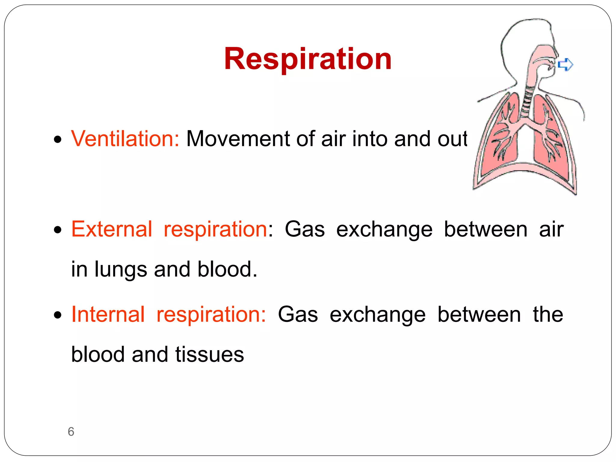Respiratory Assessment & Diagnostic Findings | PPTX