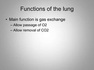 Respiratory anatomy and physiology faculty version | PPTX