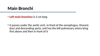 Respiratory Anatomy and anesthesiology.ppt