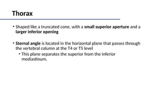 Respiratory Anatomy and anesthesiology.ppt